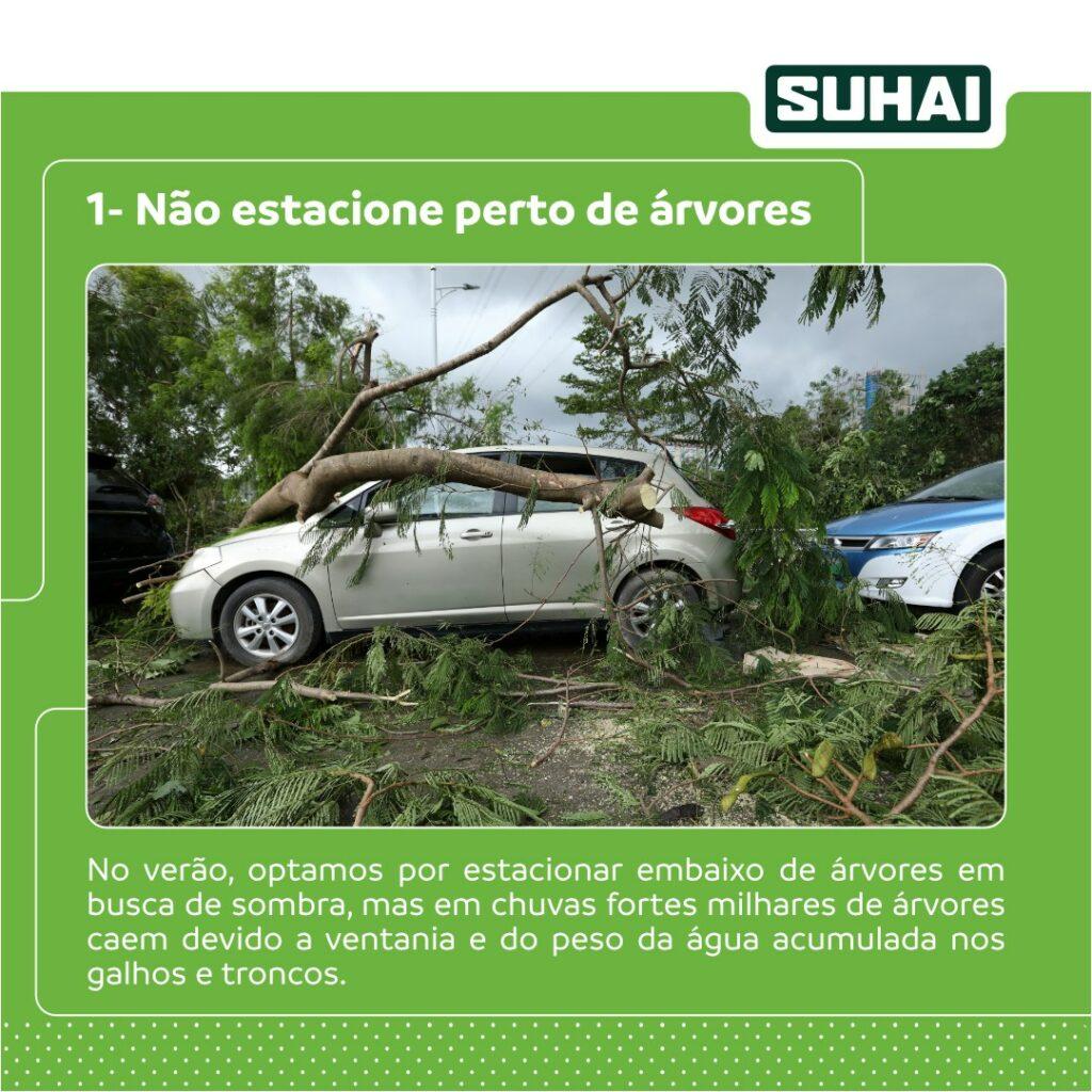 Suhai Seguradora dá dicas importantes para o período de fortes chuvas ...